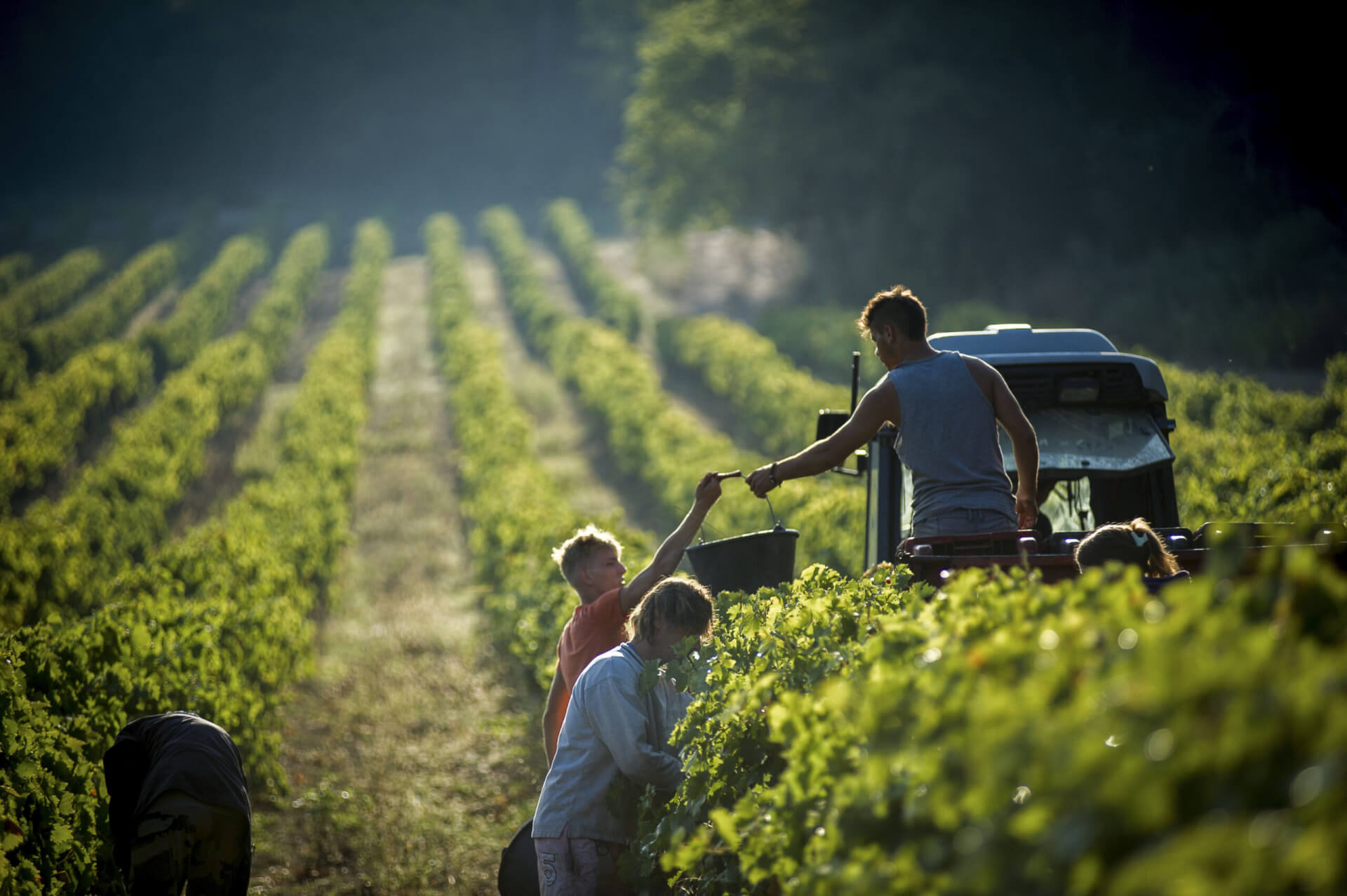 La Commanderie de Peyrassol - Maison Volpatti
